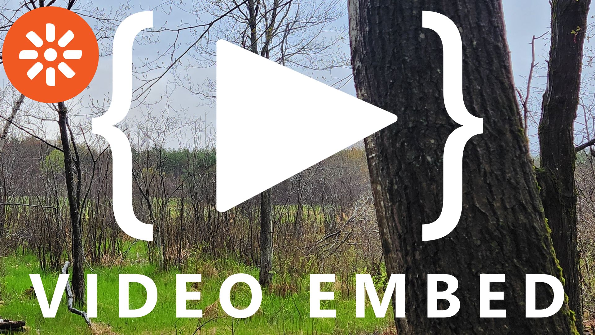 Creating a video embed widget with visibility conditions | Kentico ...